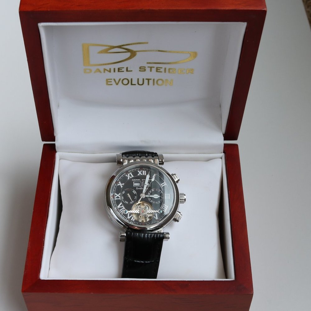 Edited Price - Daniel Steiger Evolution Men's Wrist W… - Gem